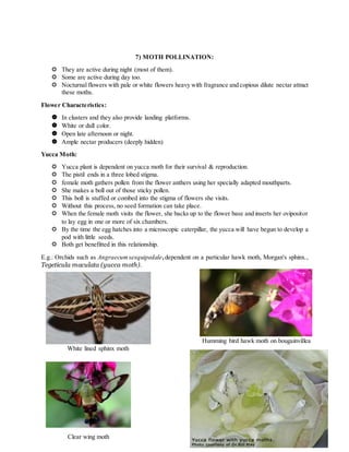 Shalu entomophily | DOCX | Beekeeping | Hobbies & Interests