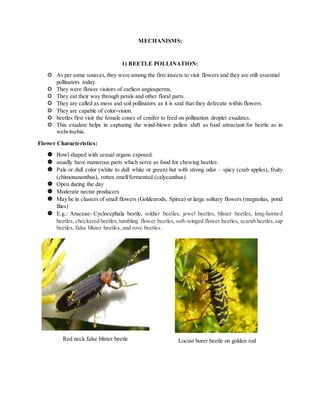 Shalu entomophily | DOCX | Beekeeping | Hobbies & Interests
