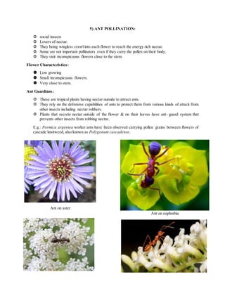 Shalu entomophily | DOCX | Beekeeping | Hobbies & Interests