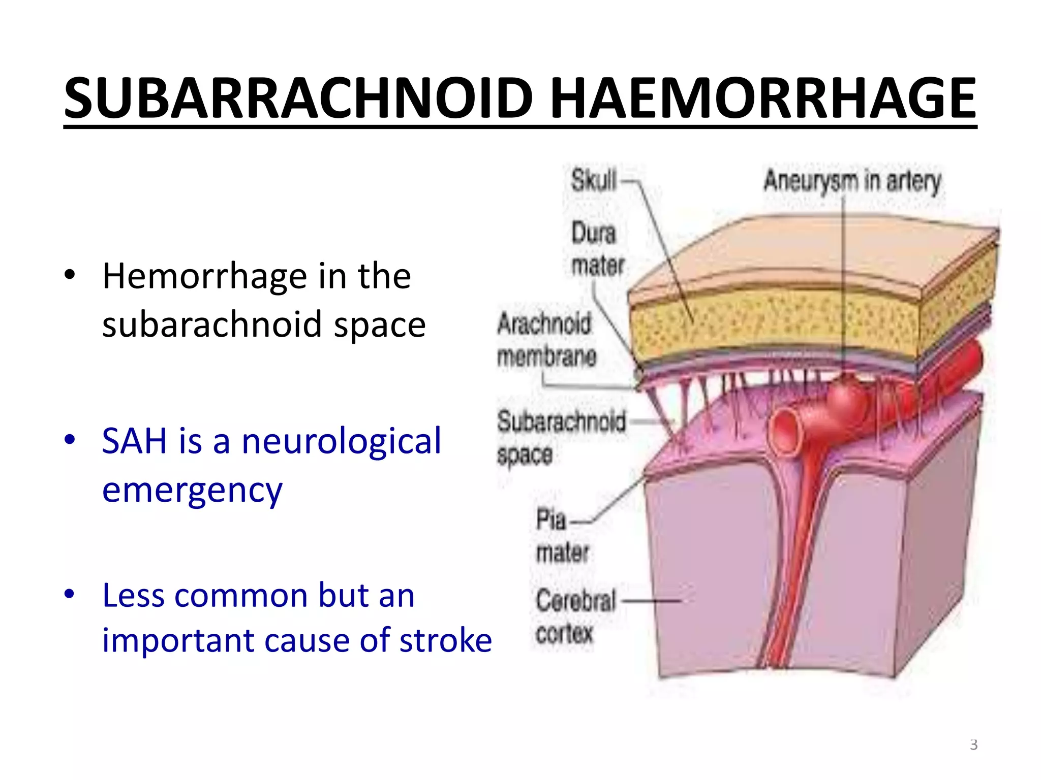 sub arachnoid hemorrhage | PPTX