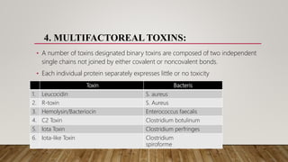 Bacterial Protein Toxins | PPTX
