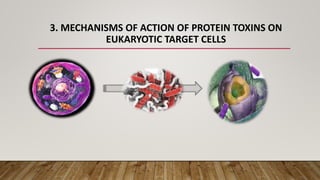Bacterial Protein Toxins | PPTX