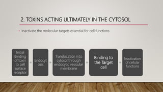 Bacterial Protein Toxins | PPTX