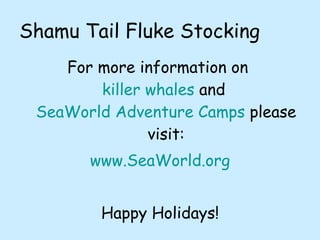 Shamu tail fluke stocking | PPT