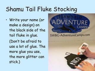 Shamu tail fluke stocking | PPT
