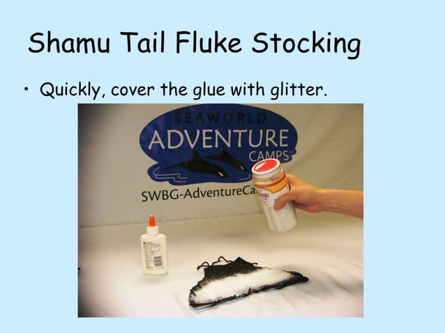 Shamu tail fluke stocking | PPT