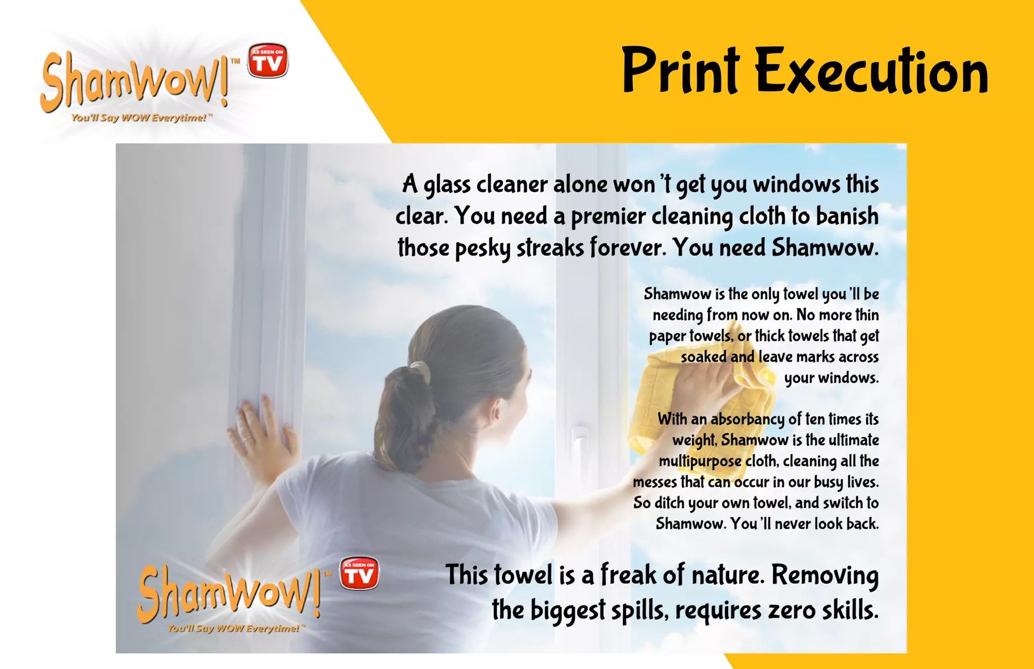 Shamwow sample brief | PPT