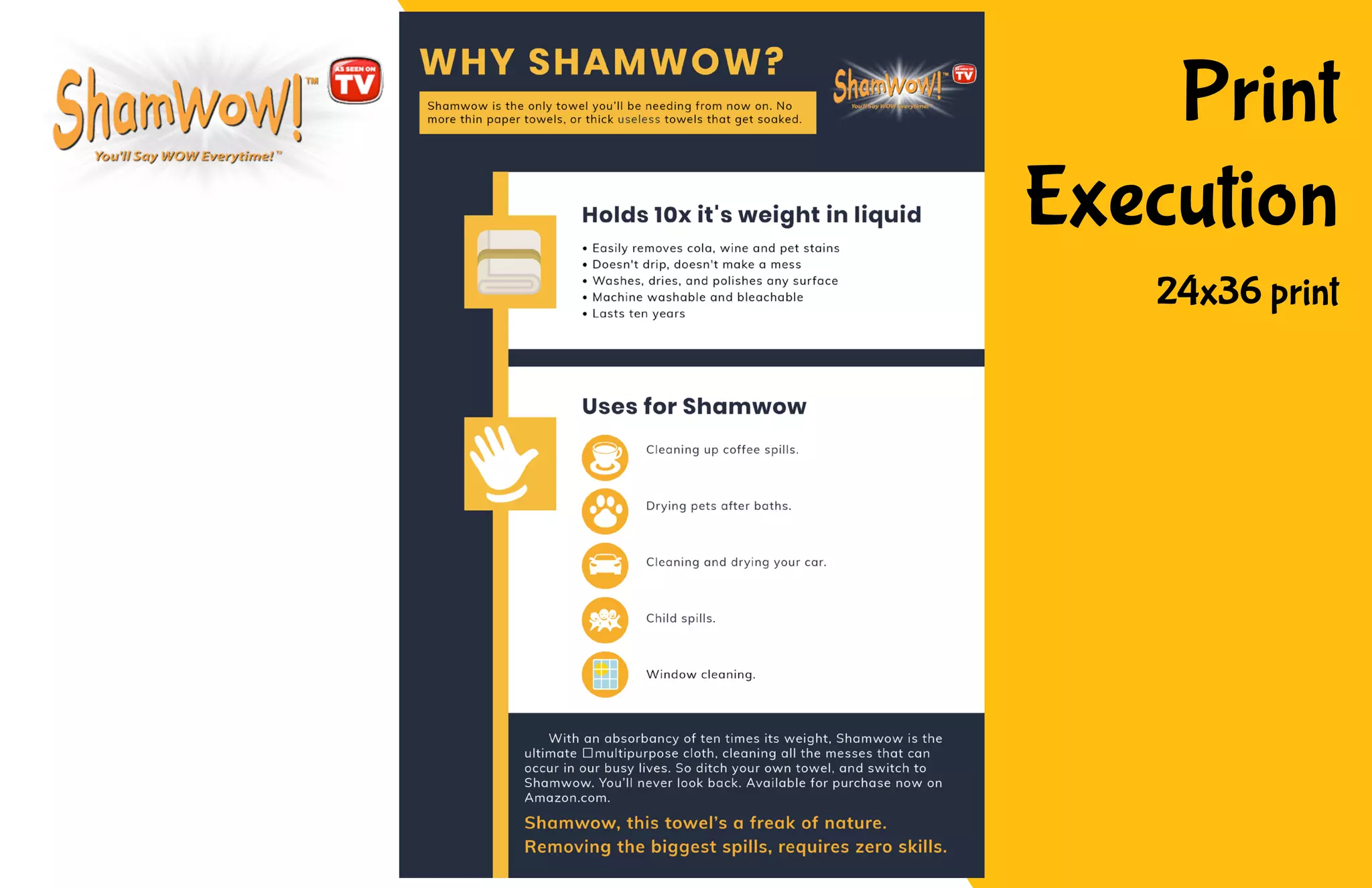 Shamwow sample brief | PPT
