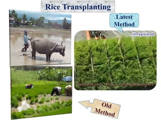 Diffusion of Innovation in Agriculture Sector | PPTX