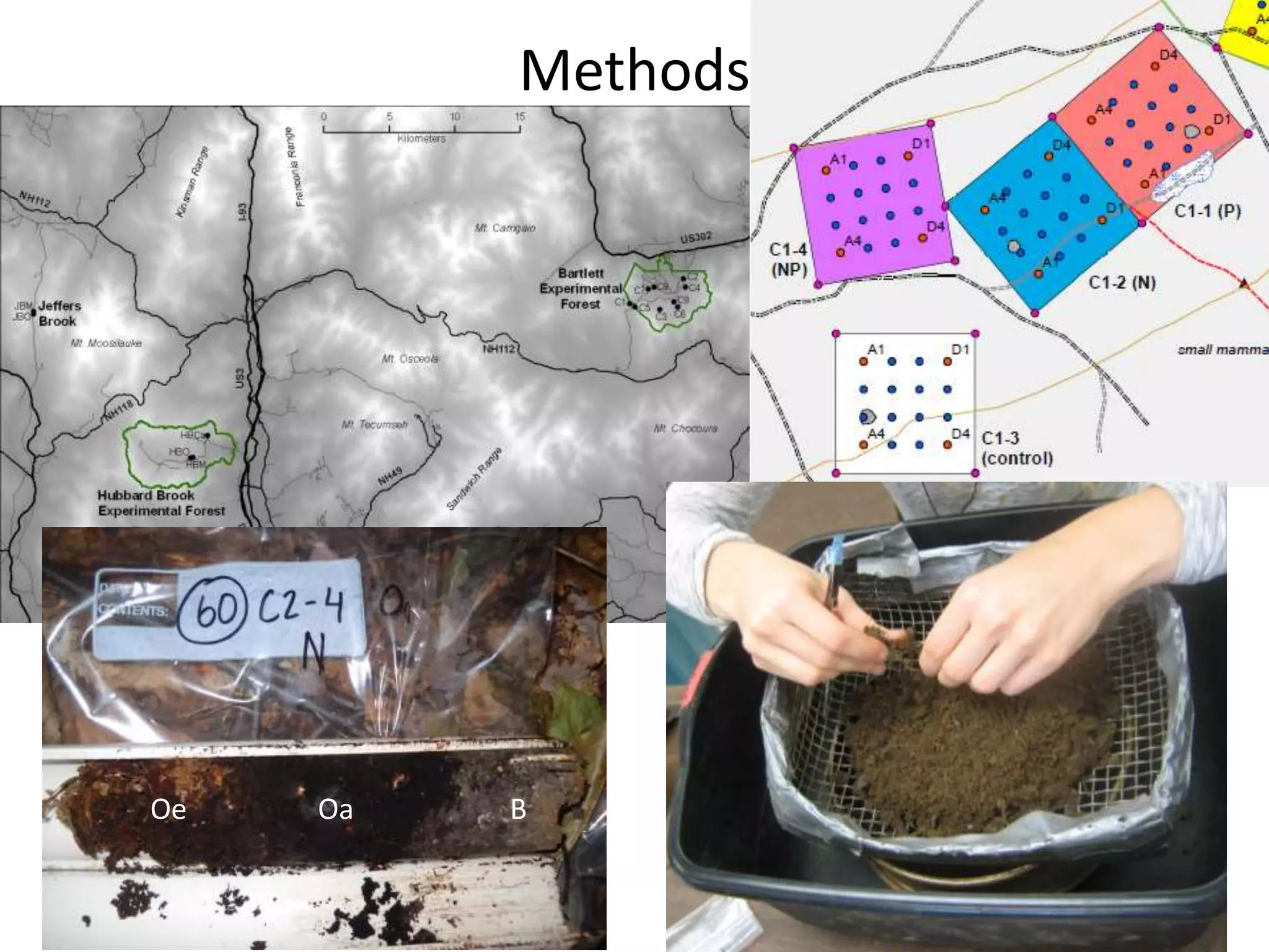 Soil enzyme activity indicates microbial P limitations | PPTX ...