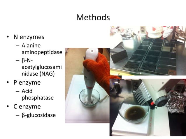 Soil enzyme activity indicates microbial P limitations | PPTX ...