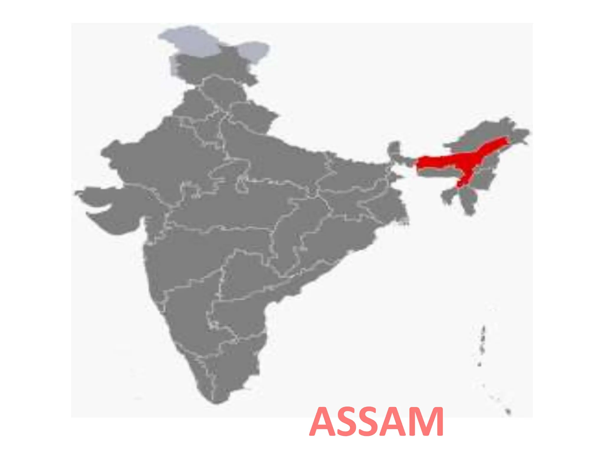 Geology of Assam with lithology , economic importance . | PPTX