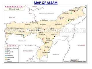 Geology of Assam with lithology , economic importance . | PPTX