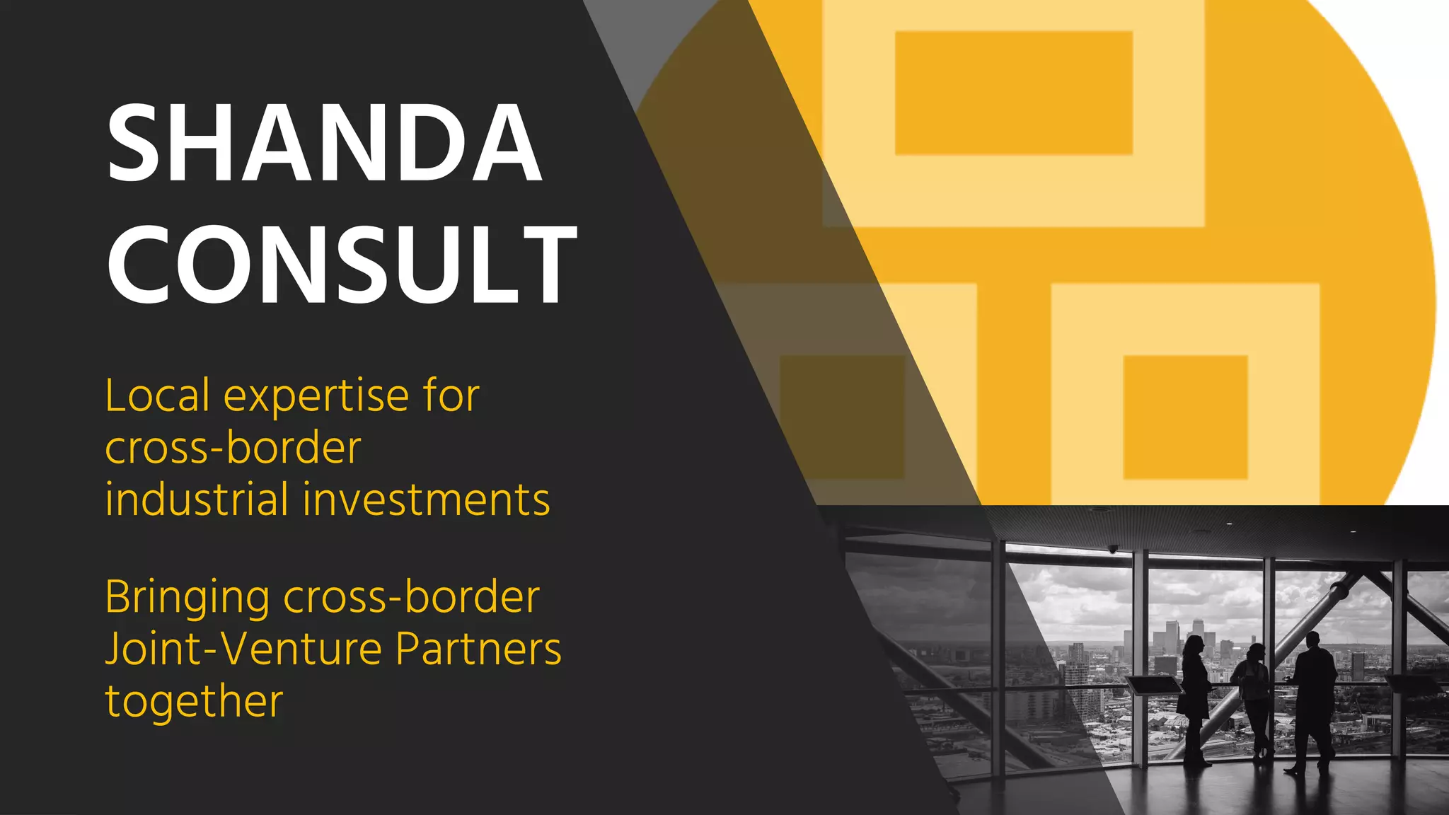 Shanda Consult Cross-border industrial investment consulting | PPT