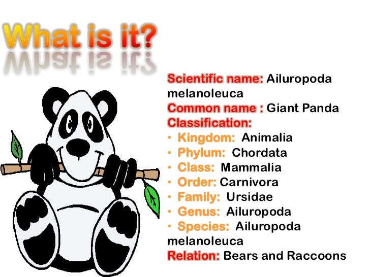 Shanetra endangered species project