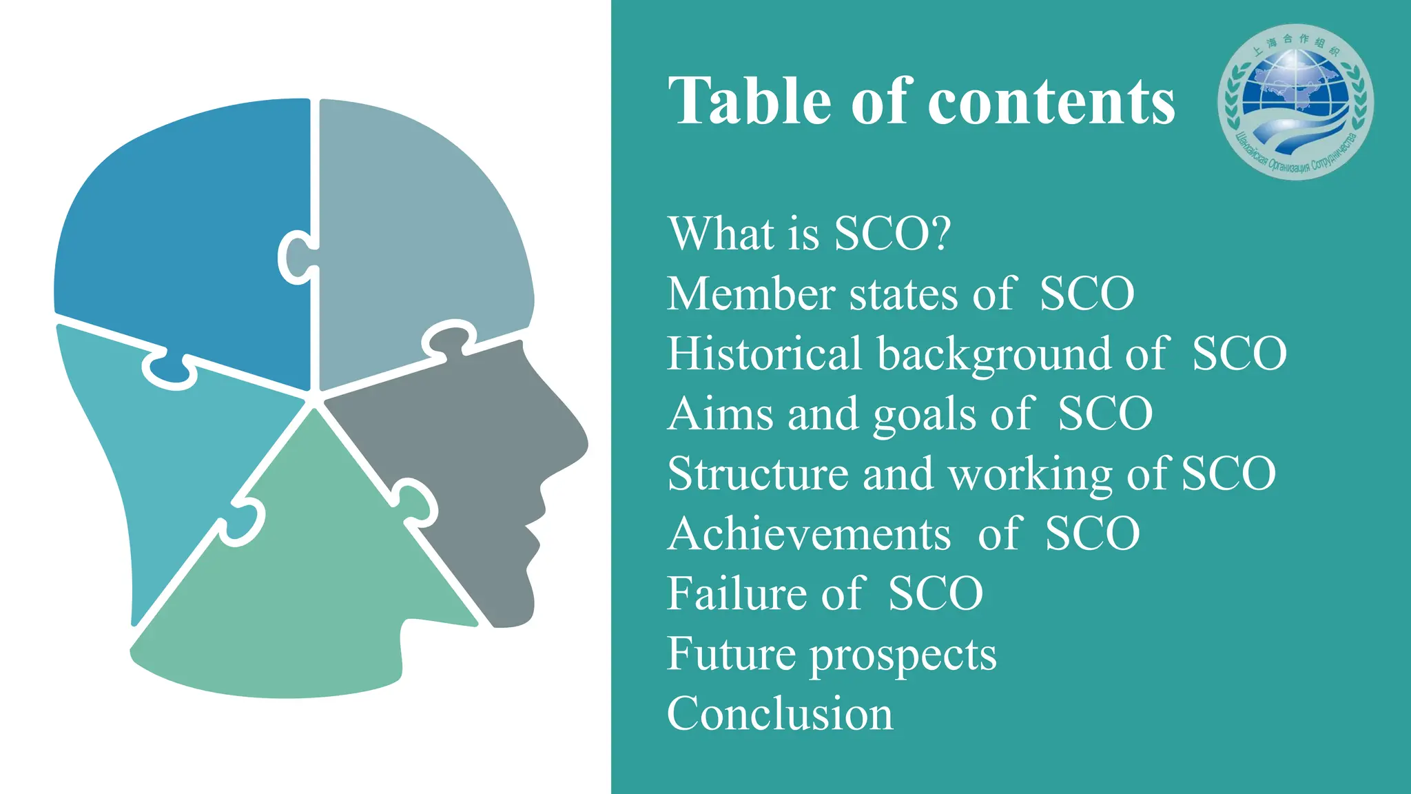 Shanghai cooperation organisation.pptx
