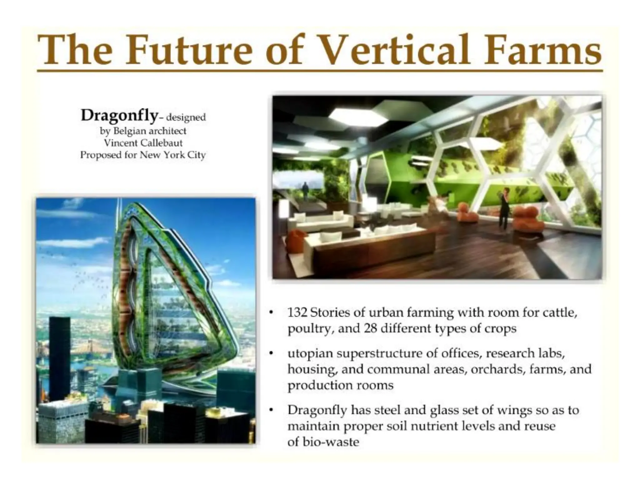 Shan Hydroponics and Urban farming technology.pdf
