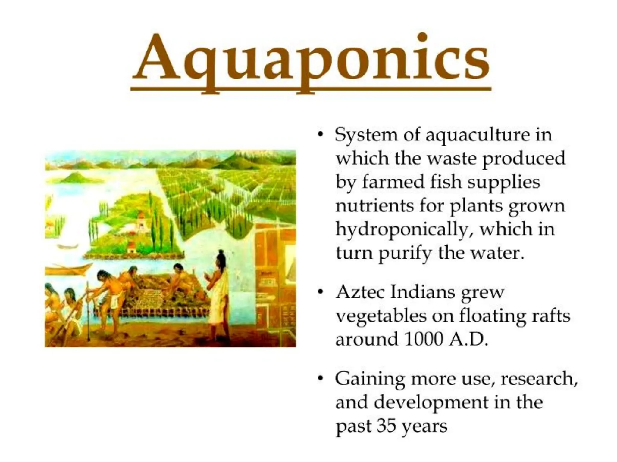 Shan Hydroponics and Urban farming technology.pdf