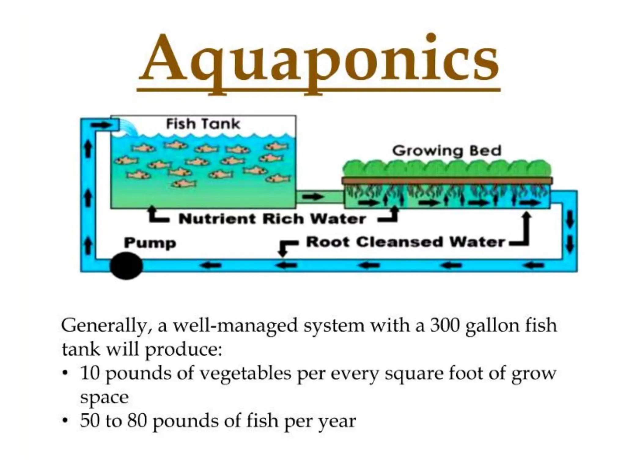 Shan Hydroponics and Urban farming technology.pdf