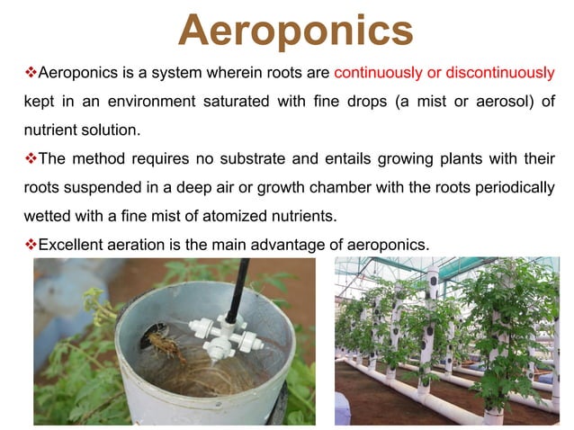 Shan Hydroponics and Urban farming technology.pdf