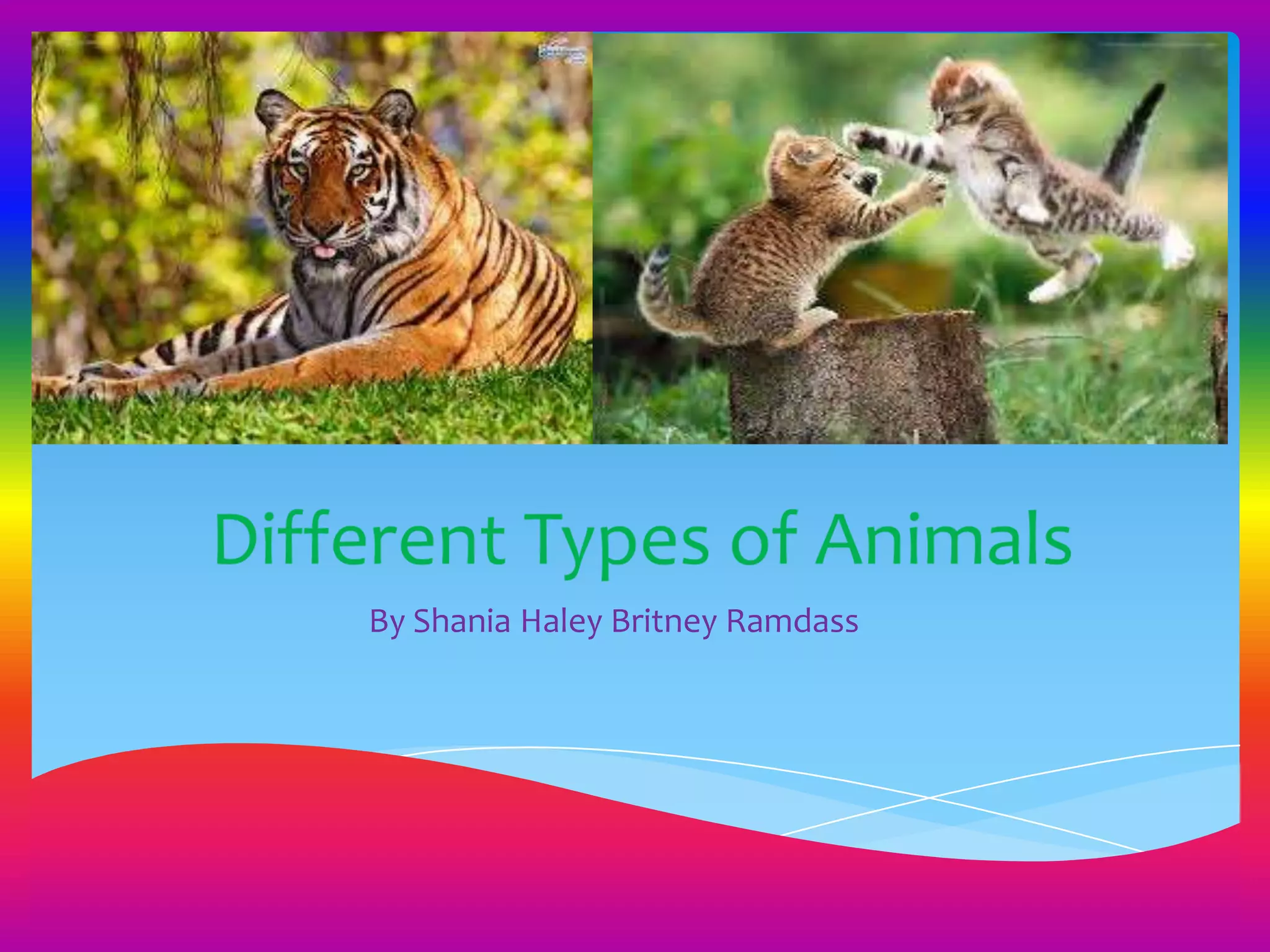 Different types of Animals | PPTX