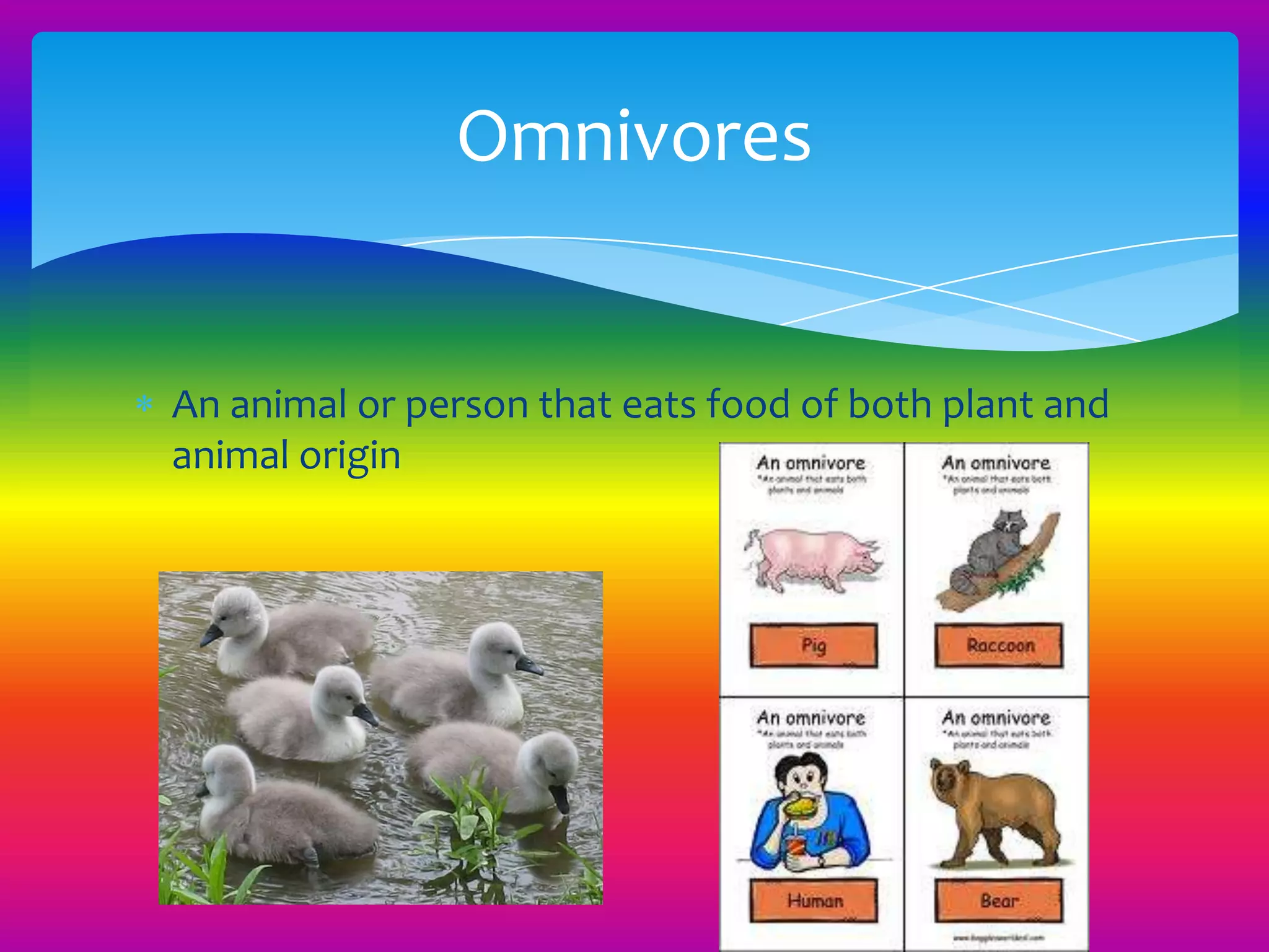 Different types of Animals | PPTX