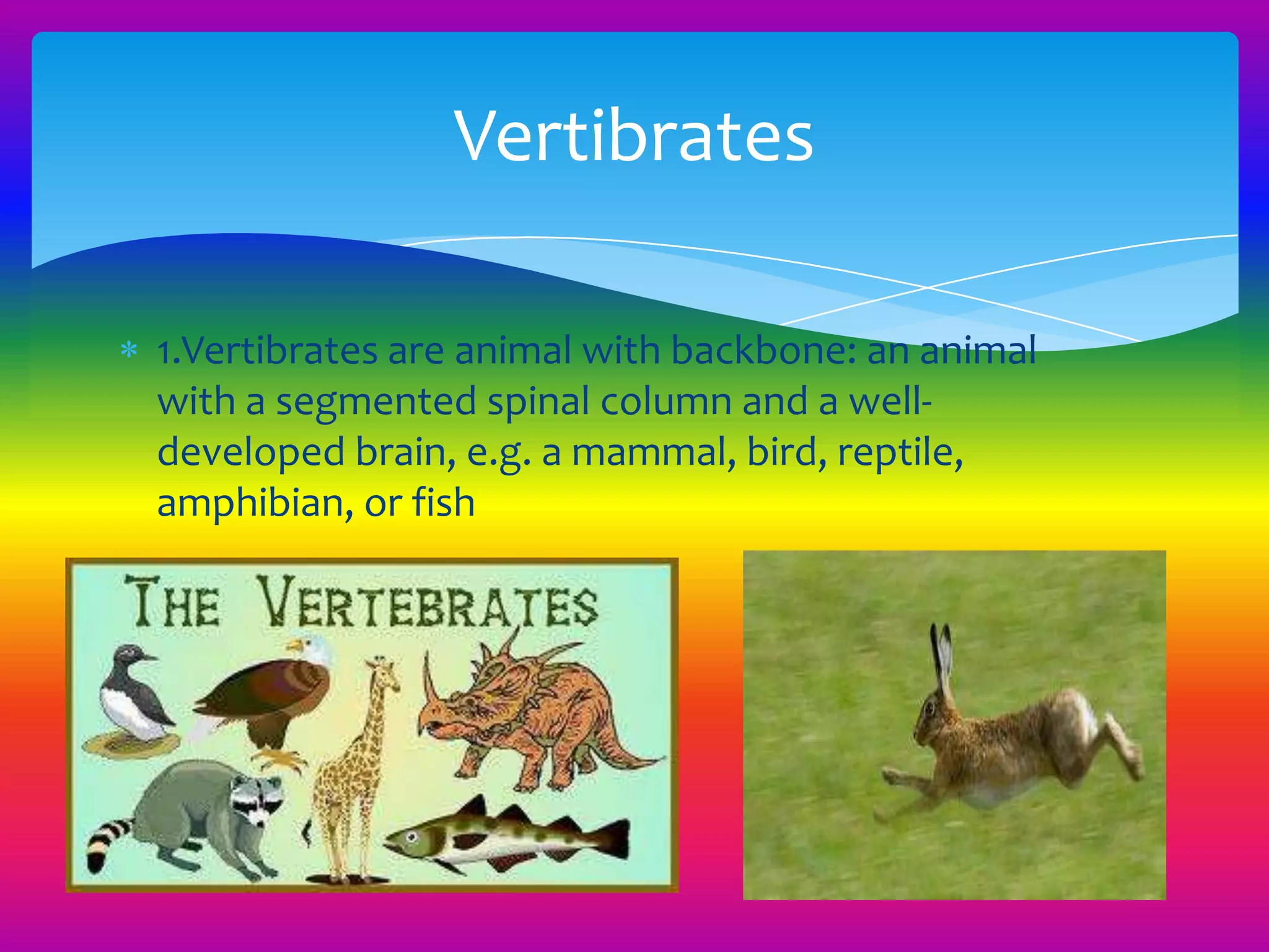 Different types of Animals | PPTX