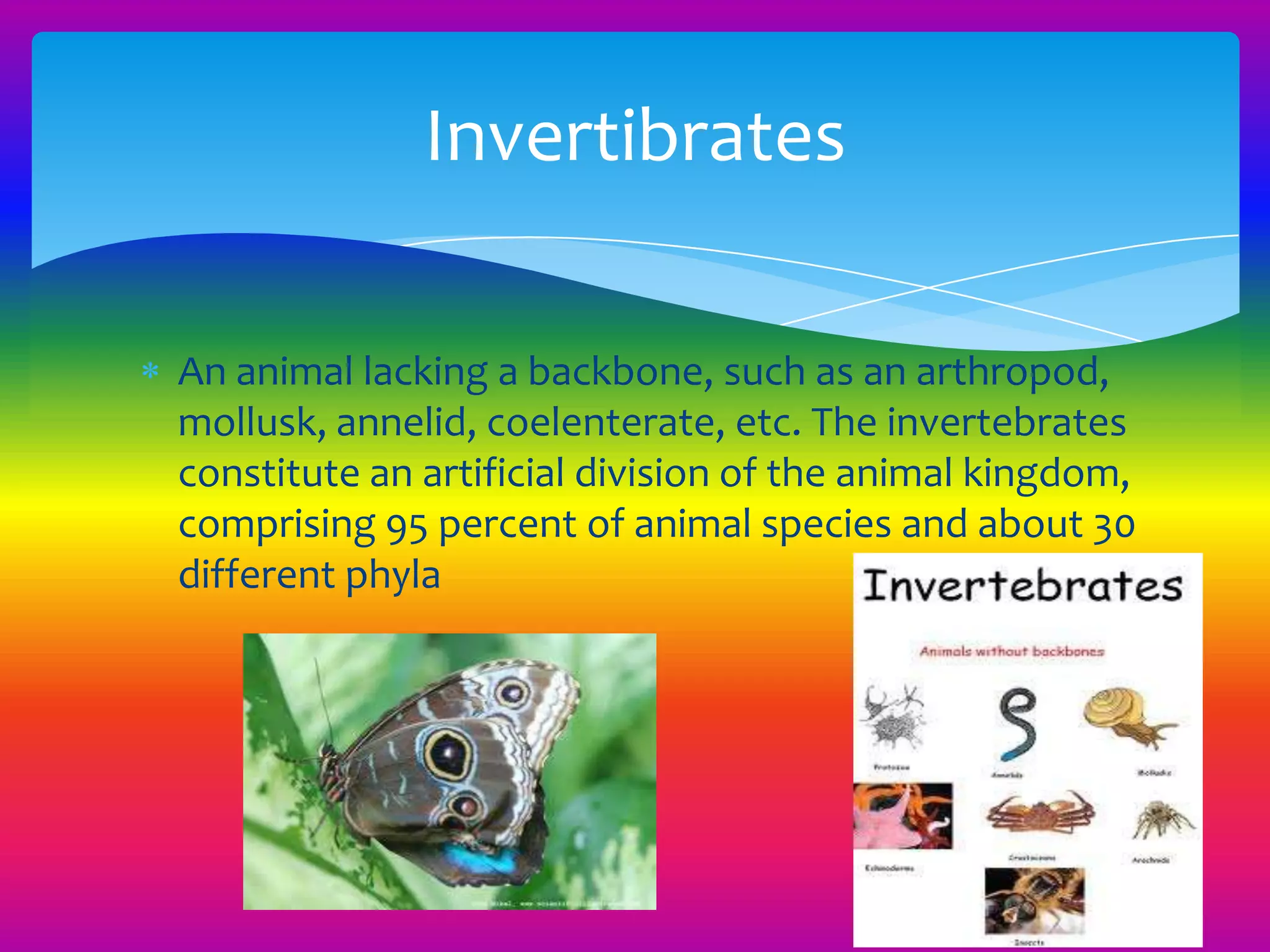 Different types of Animals | PPTX