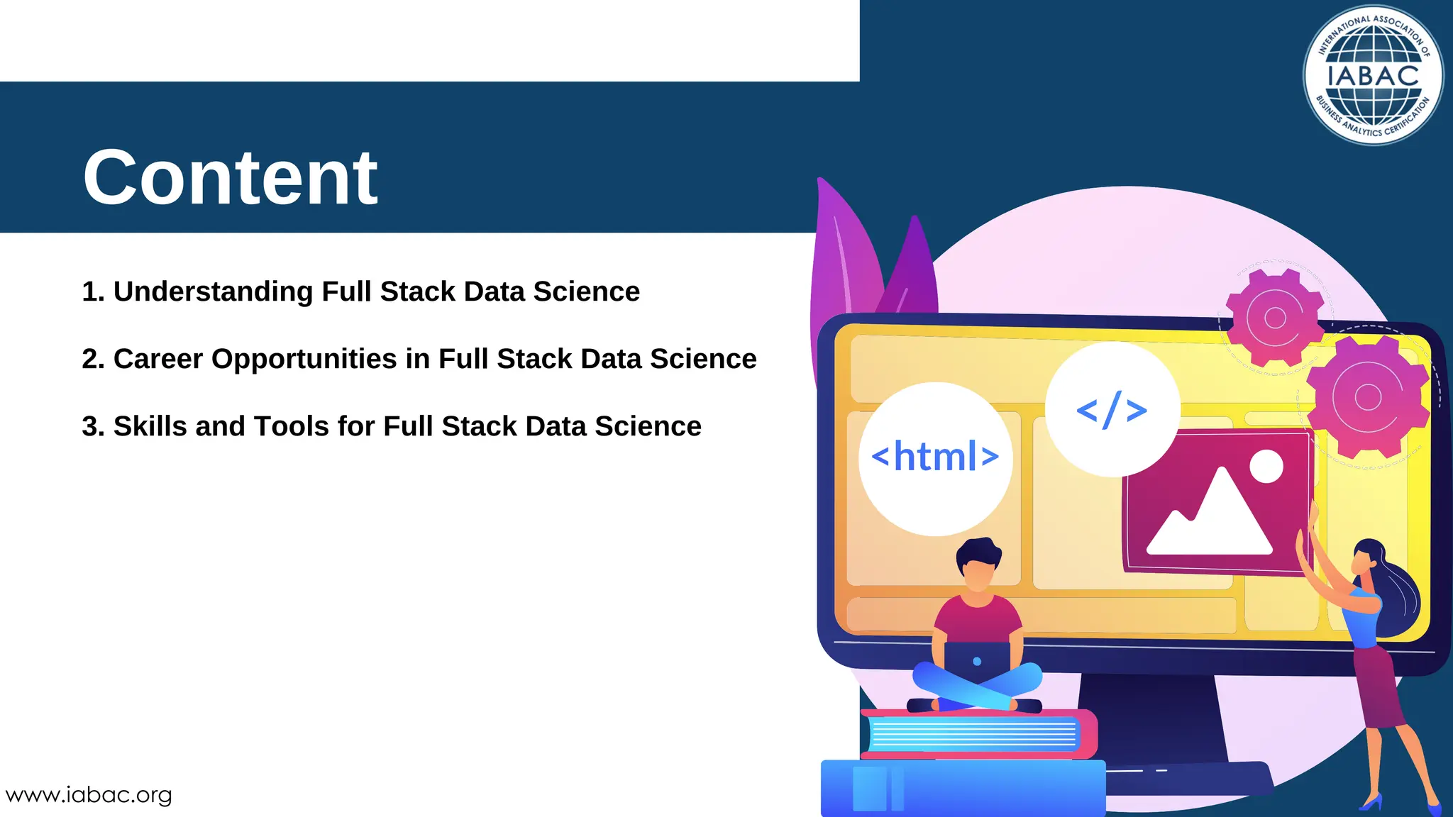 Benefits of Full Stack Data Science Course | IABAC | PPT