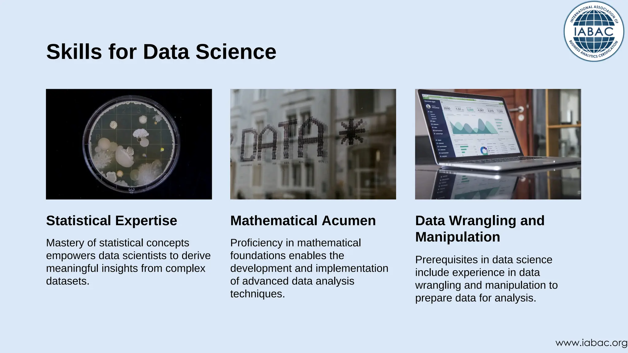 The Importance of Data Science Prerequisites | IABAC | PPT