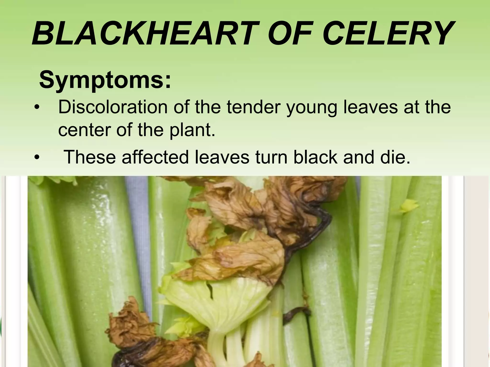 calcium importance in vegetables | PPTX