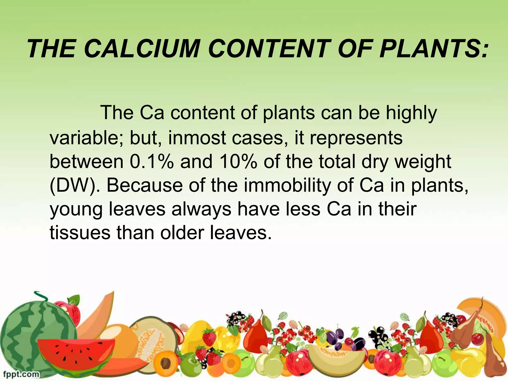 calcium importance in vegetables | PPTX