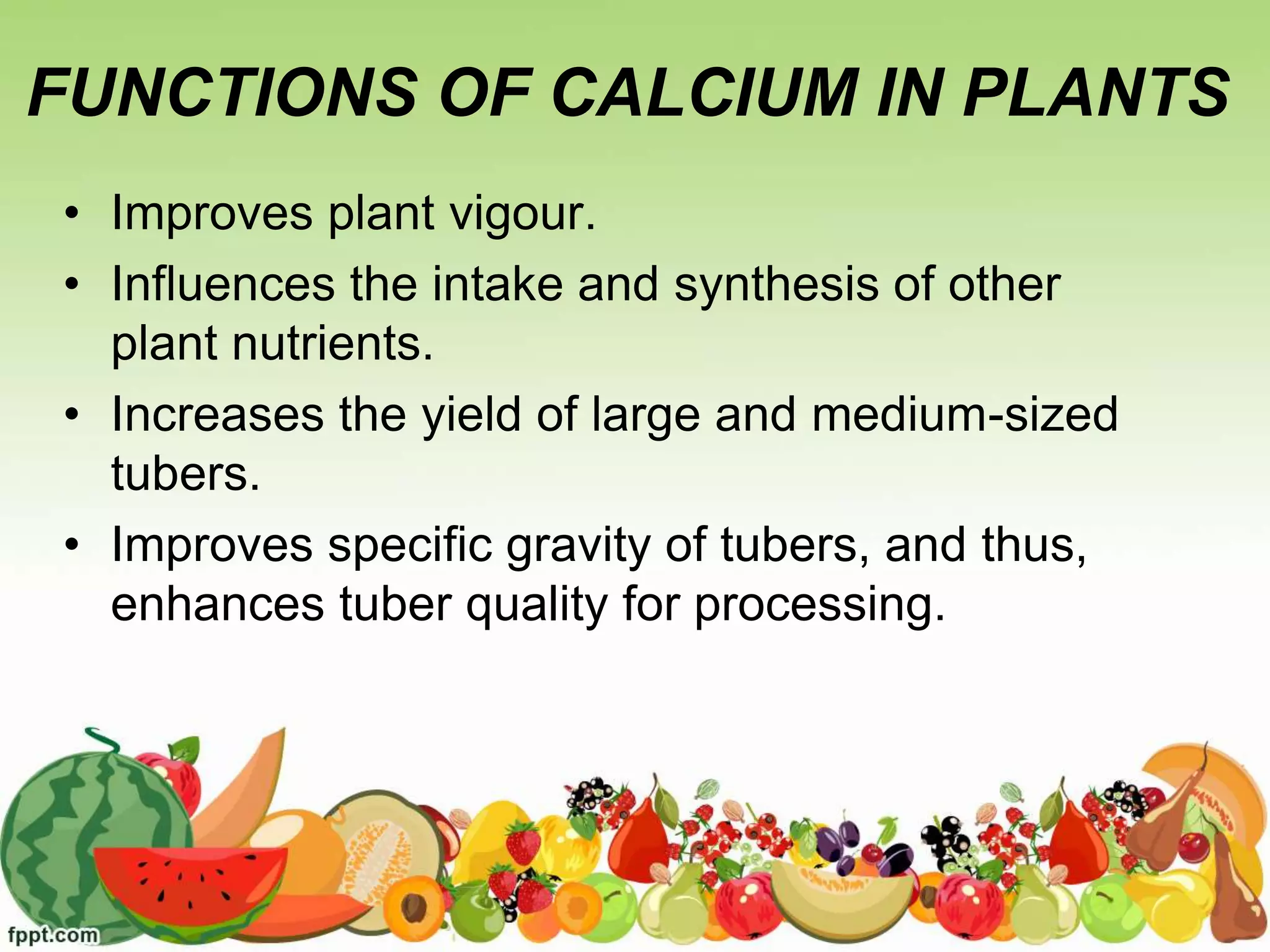 calcium importance in vegetables | PPTX