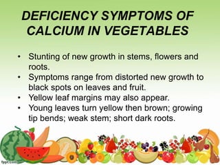 calcium importance in vegetables | PPTX | Gardening | Home & Garden