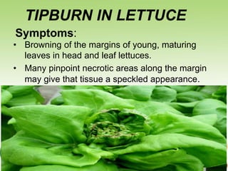 calcium importance in vegetables | PPTX