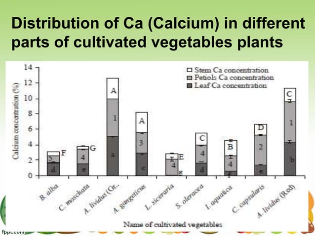 calcium importance in vegetables | PPTX | Gardening | Home & Garden