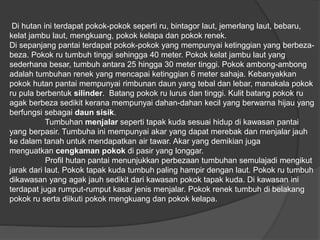 Shanmugam bab 12 geografi | PPTX