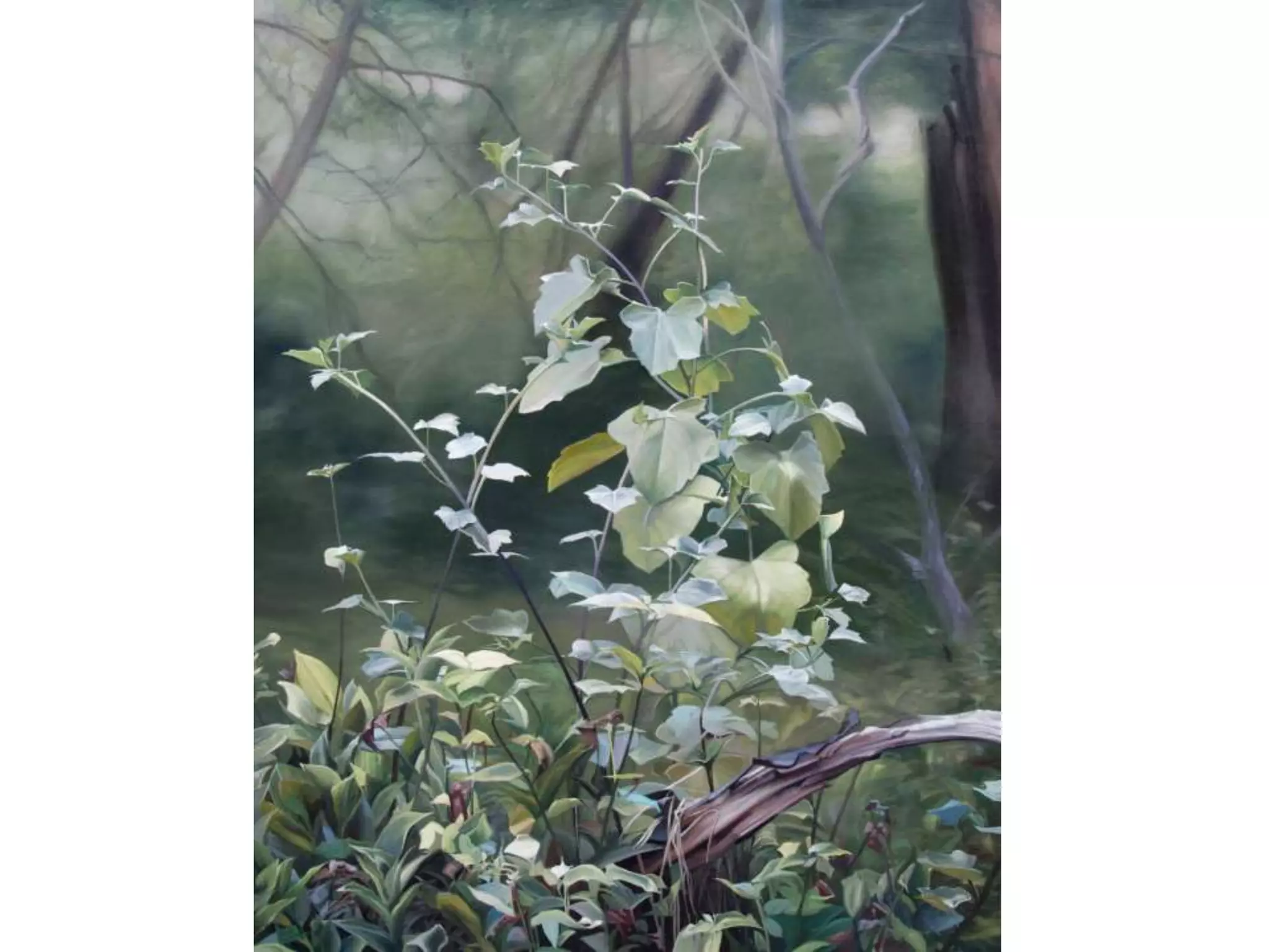 Artist's Talk: Shannon Smiley. Key Stage 3 students (Helen Nodding) | PPTX