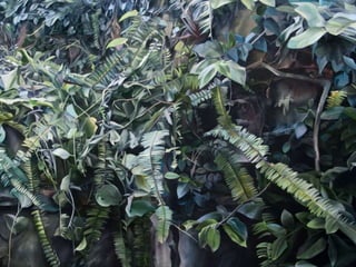 Artist's Talk: Shannon Smiley. Key Stage 3 students (Helen Nodding) | PPTX