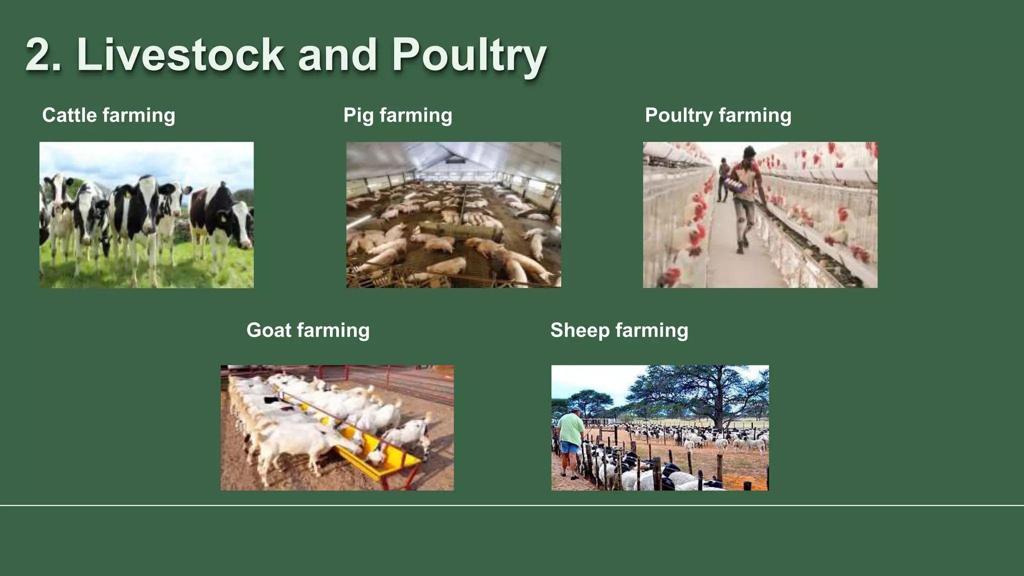 Shantanu Integrated Farming System.pptx