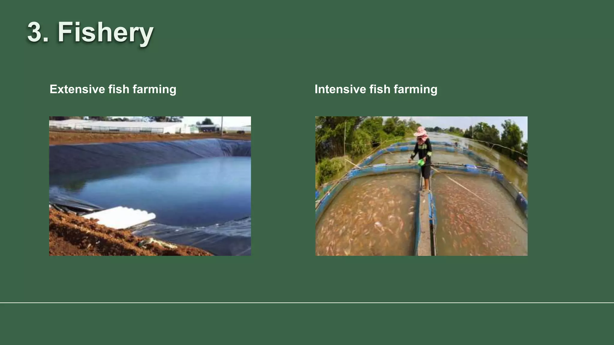 Shantanu Integrated Farming System.pptx