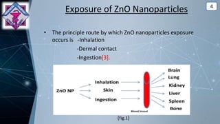 ZnO Nanoparticles Impacts | PPTX