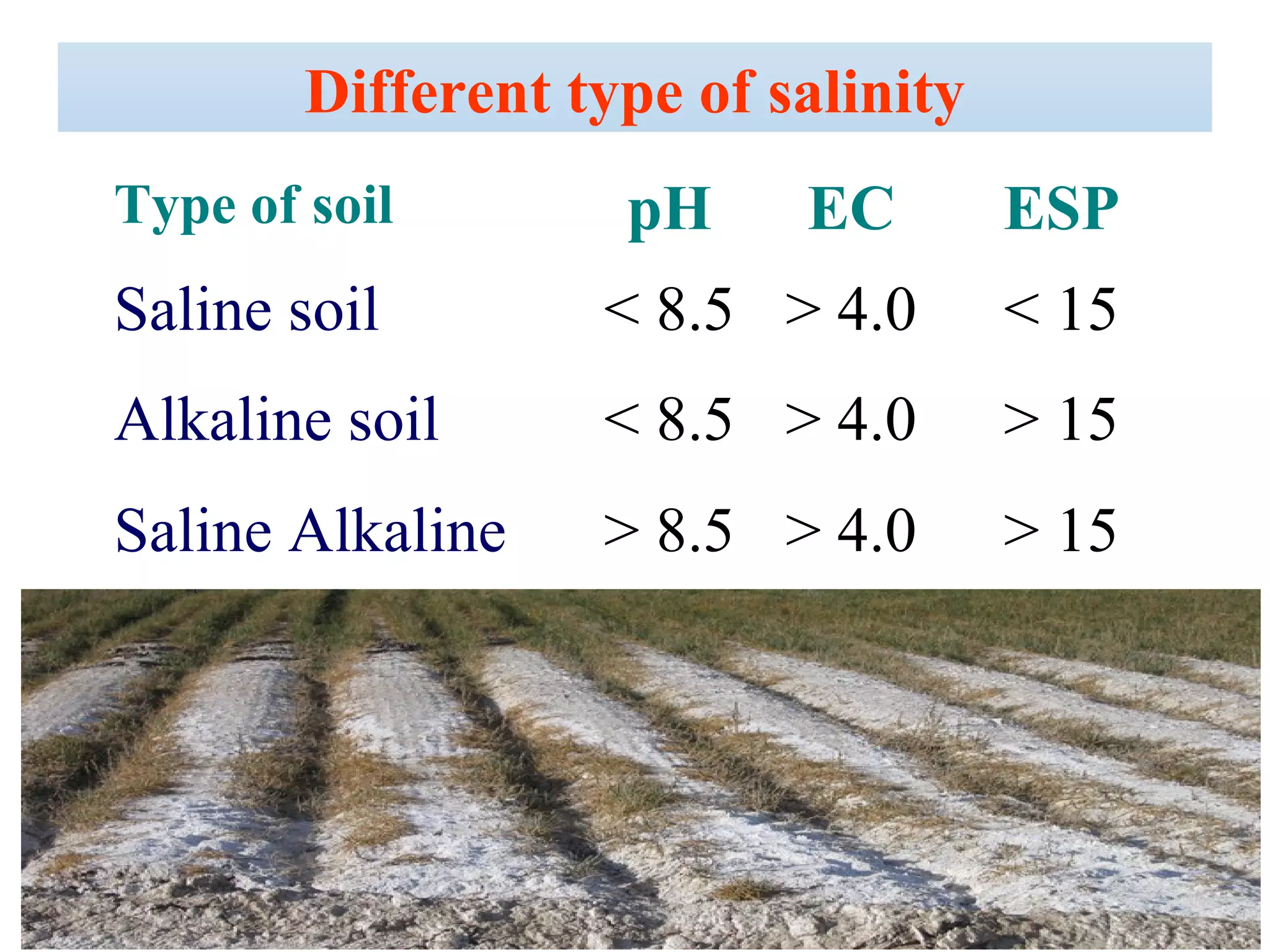 Physiological mechanisms of salt tolerance in Tomato | PPT