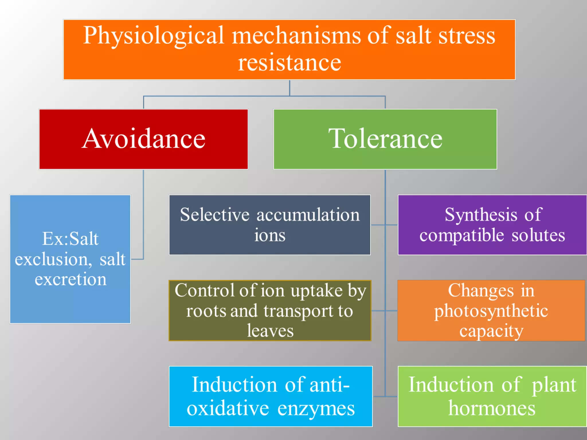Physiological mechanisms of salt tolerance in Tomato | PPT