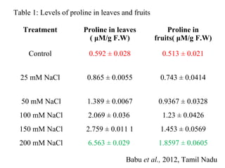 Physiological mechanisms of salt tolerance in Tomato | PPT