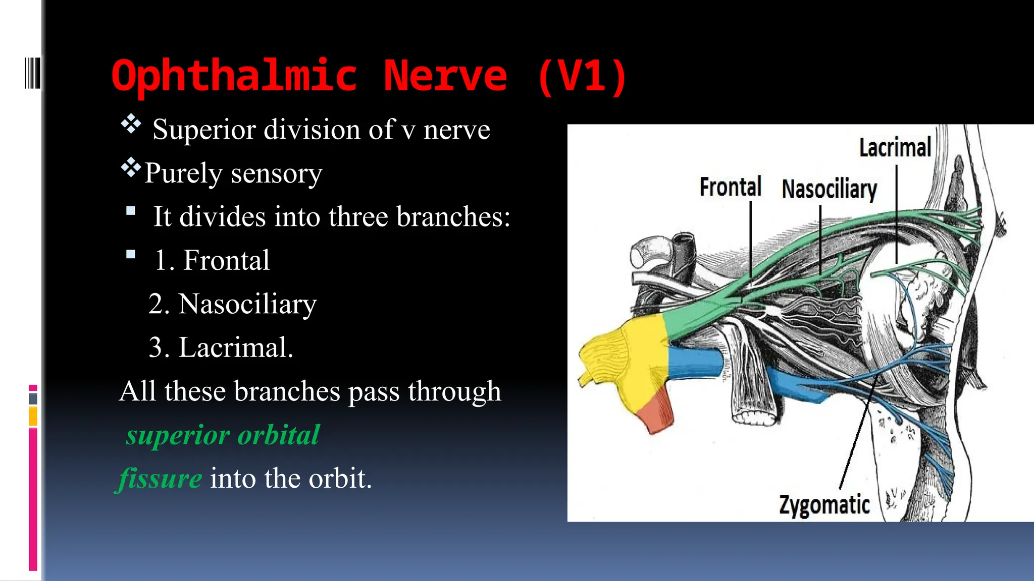 trigeminal nerve and their disease222ptx | PPTX