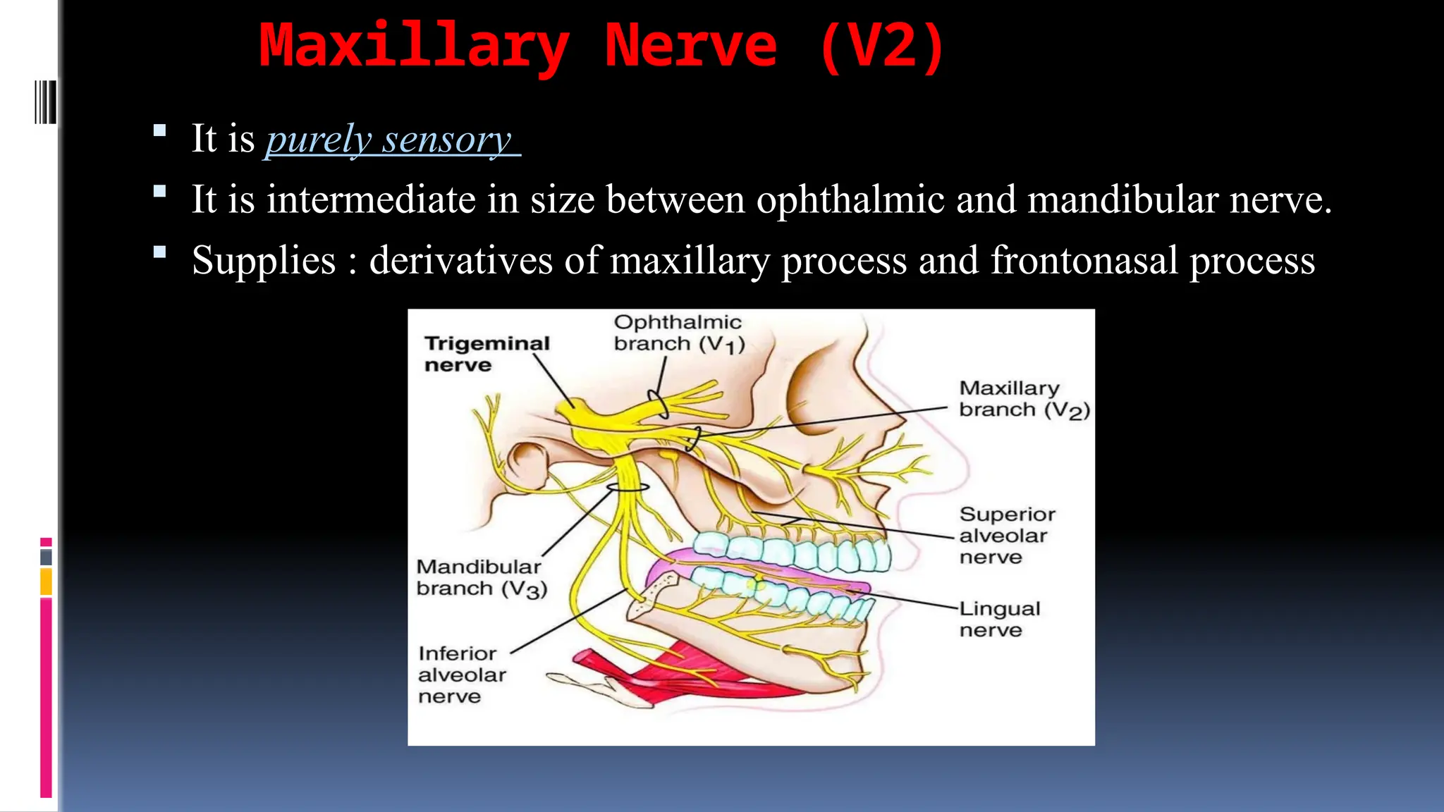 trigeminal nerve and their disease222ptx | PPTX