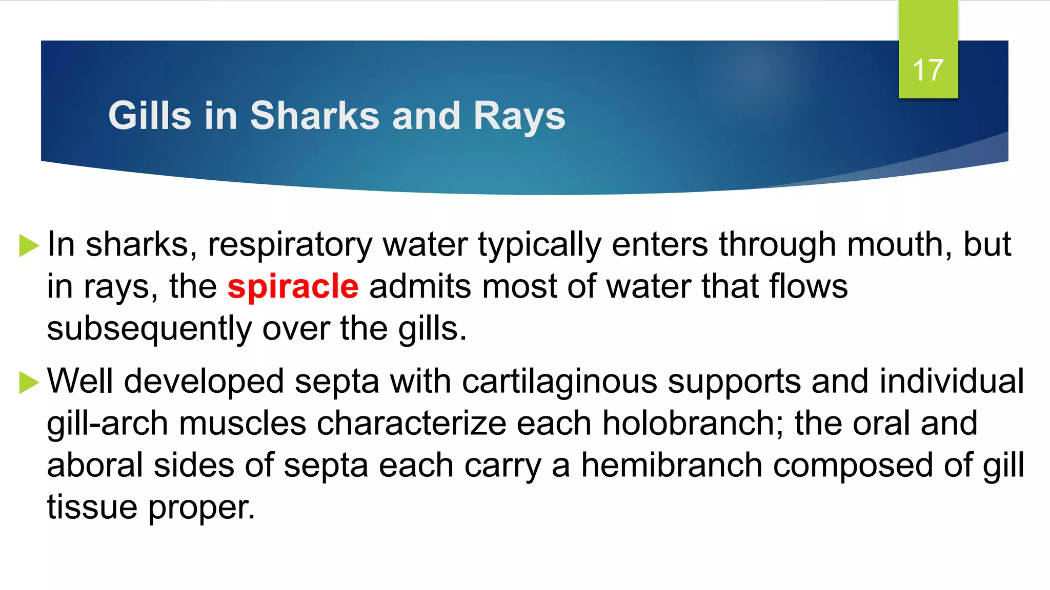 Respiration in Fish | PPTX
