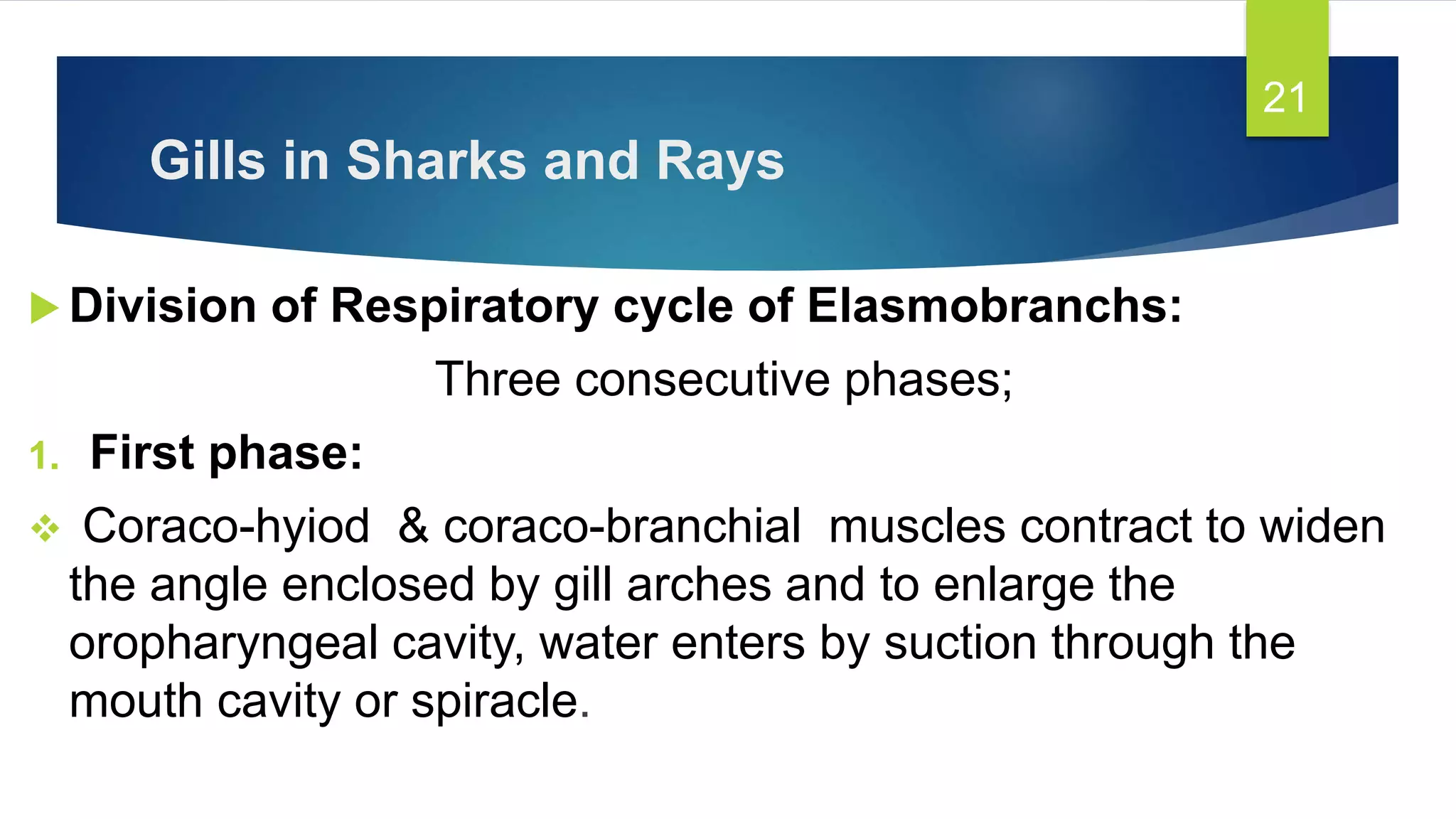 Respiration in Fish | PPTX