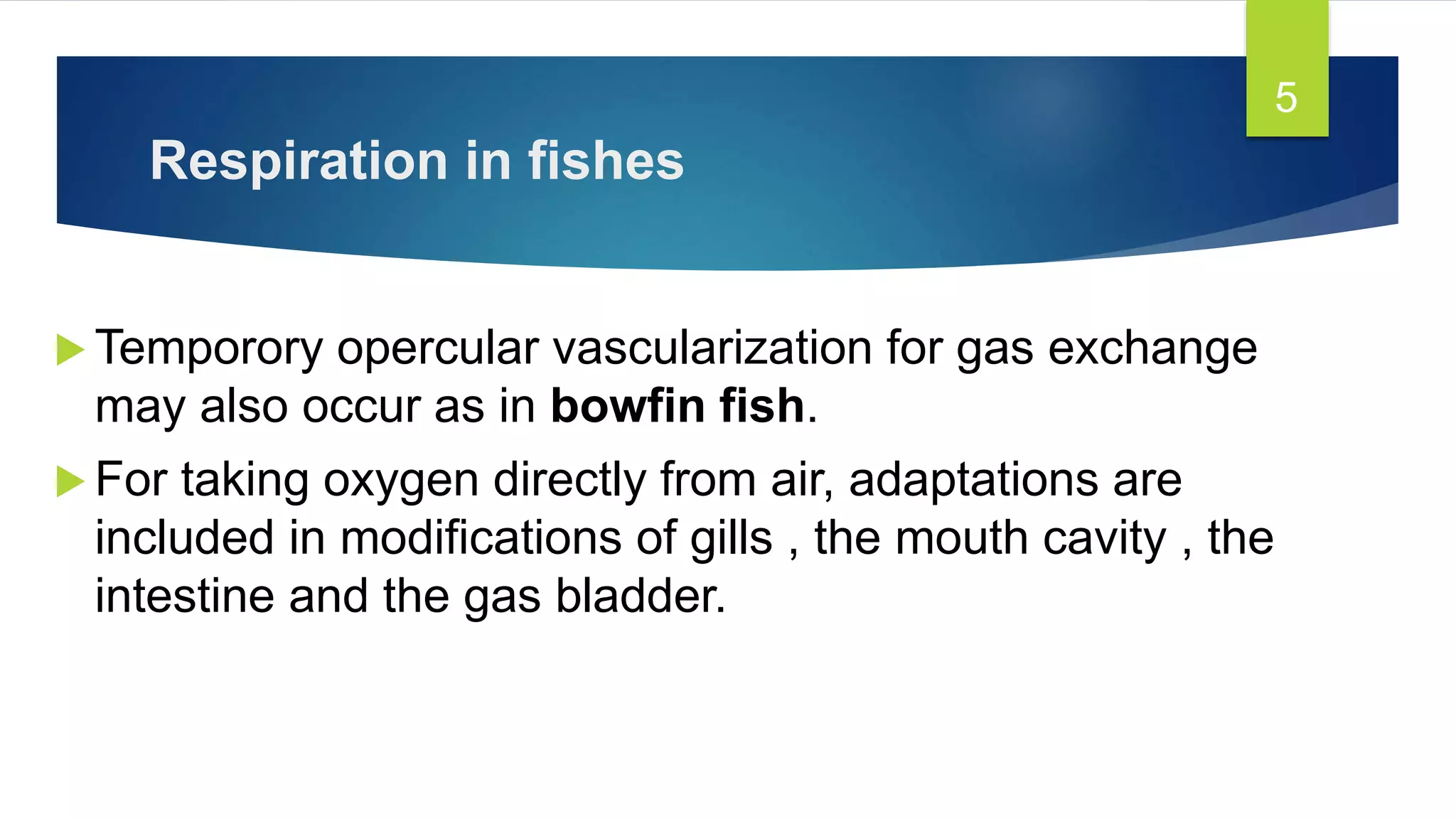 Respiration in Fish | PPTX